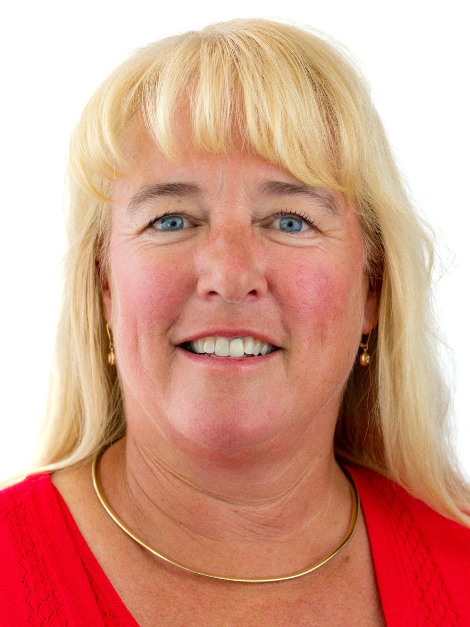 Areas of Concentration - The Department of Middle, Secondary, and K-12 ...